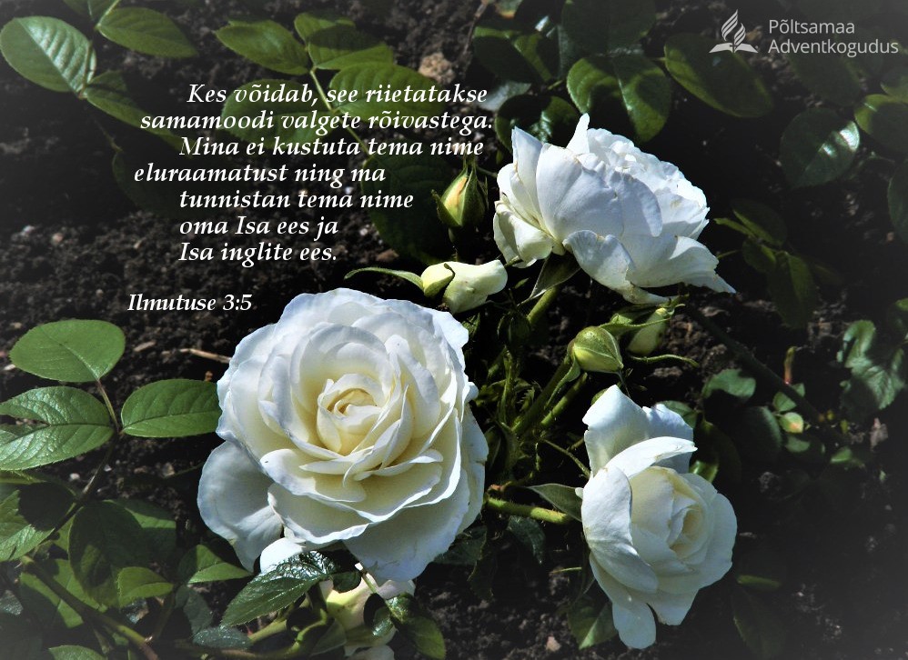 Valged riided – Põltsamaa Adventkogudus